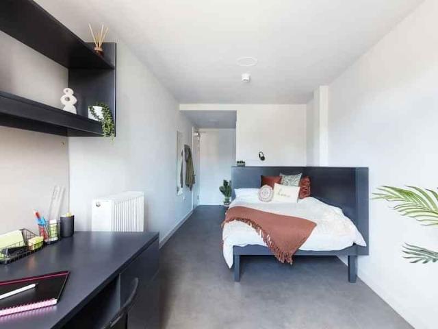 1 Bedroom Shared Living/roommate Brighton Brighton 99492071