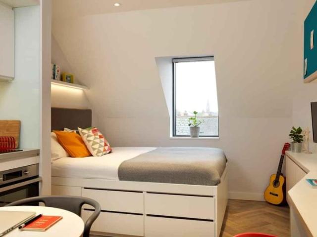 1 Bedroom Shared Living/roommate Cambridge Cambridge 97673588