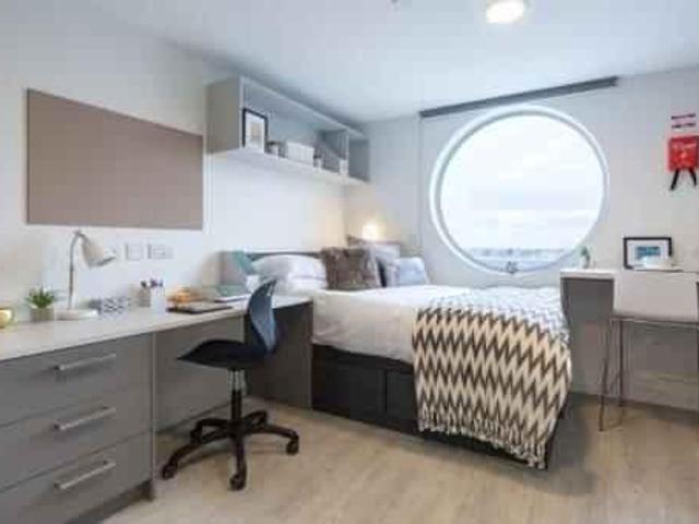 1 Bedroom Shared Living/roommate Cardiff Cardiff 97663697