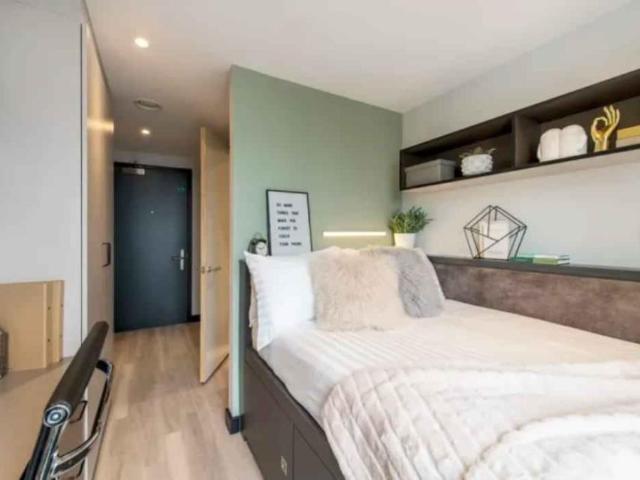 1 Bedroom Shared Living/roommate Cardiff Cardiff LS97671286