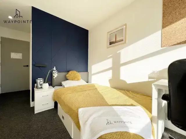 1 Bedroom Shared Living/roommate Cardiff Cardiff LS97833280