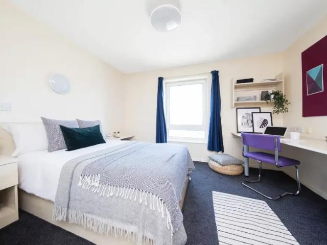 1 Bedroom Shared Living/roommate Cardiff Cardiff LS99498242