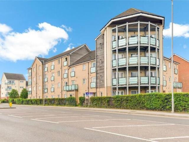 1 Bedroom Shared Living/roommate Dunstable Bedfordshire 98649234
