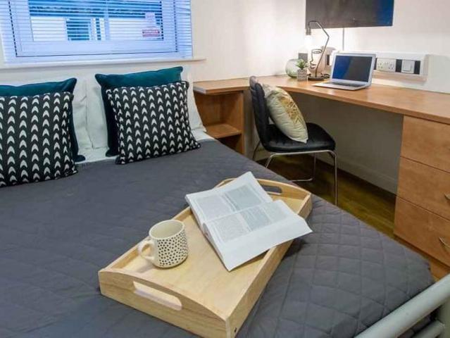 1 Bedroom Shared Living/roommate Exeter Exeter 97665461
