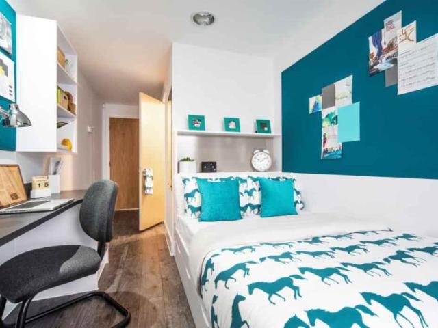 1 Bedroom Shared Living/roommate Edinburgh Edinburgh 97830298