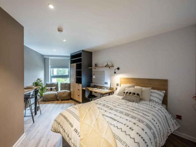 1 Bedroom Shared Living/roommate Edinburgh Edinburgh 99458437