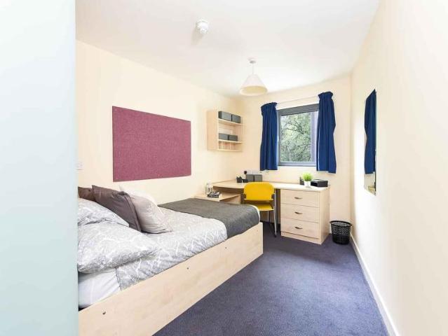 1 Bedroom Shared Living/roommate Glasgow Glasgow LS97669492