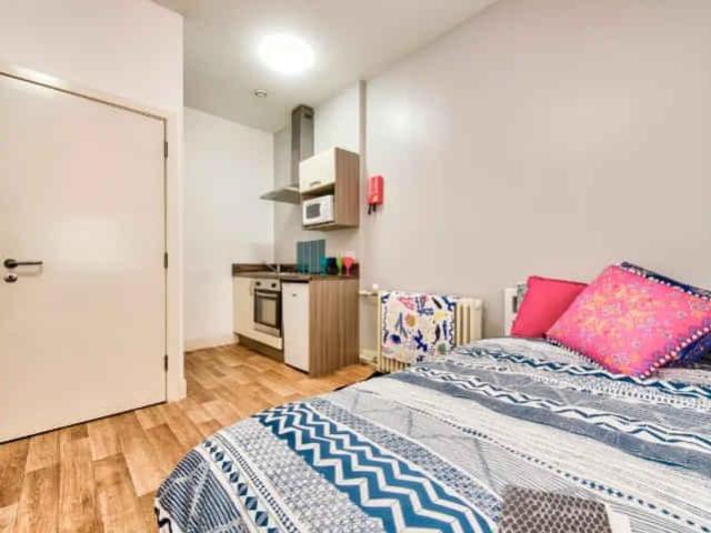 1 Bedroom Shared Living/roommate Glasgow Glasgow LS99496215