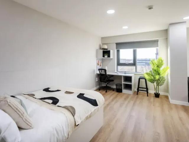 1 Bedroom Shared Living/roommate Glasgow Glasgow LS99538642