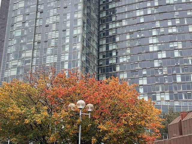 1 Bedroom Shared Living/roommate Greater London England 97420351