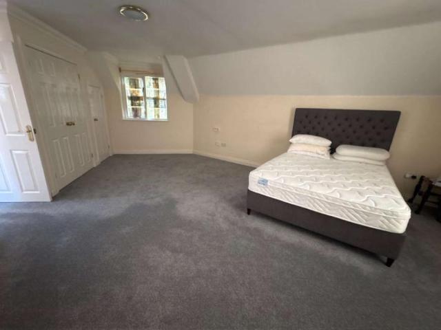 1 Bedroom Shared Living/roommate London London 101918644