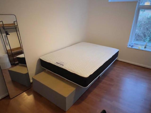 1 Bedroom Shared Living/roommate London London 103357398