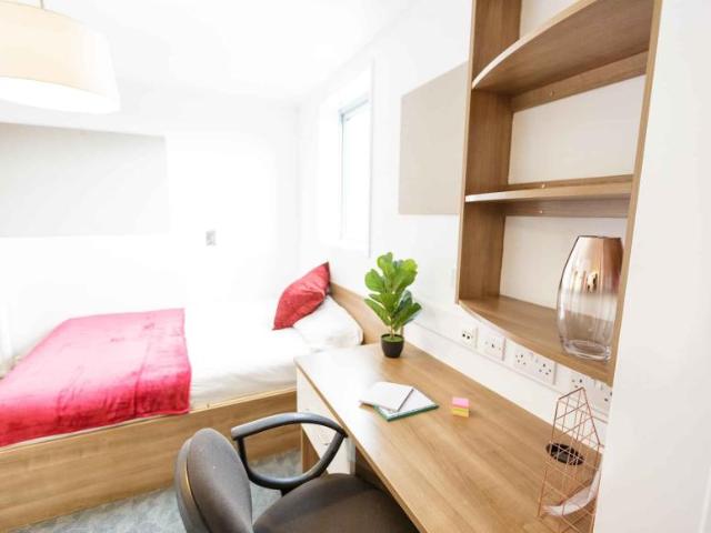 1 Bedroom Shared Living/roommate London London 90547747