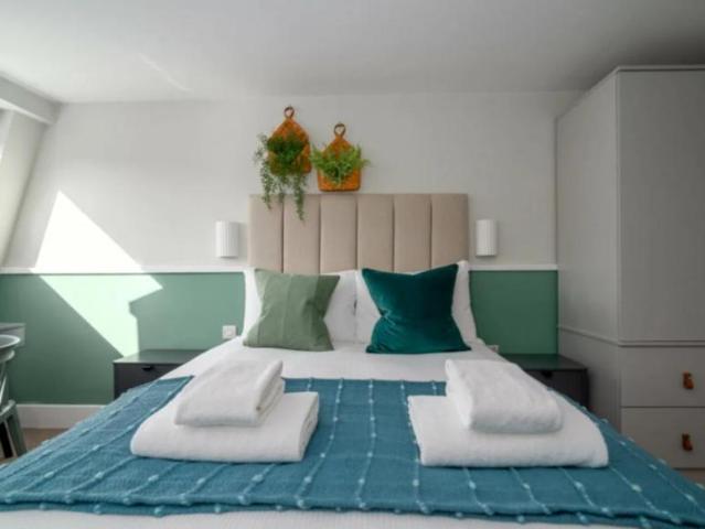 1 Bedroom Shared Living/roommate London London 90560546