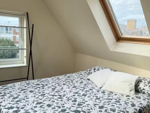 1 Bedroom Shared Living/roommate London London 96790247