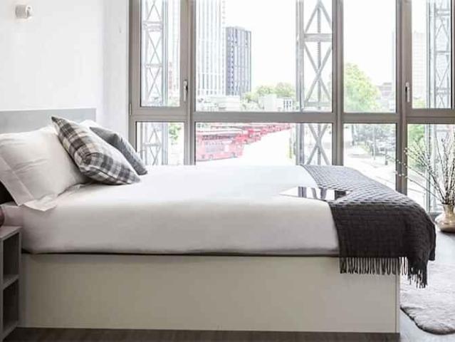 1 Bedroom Shared Living/roommate London London 97660848