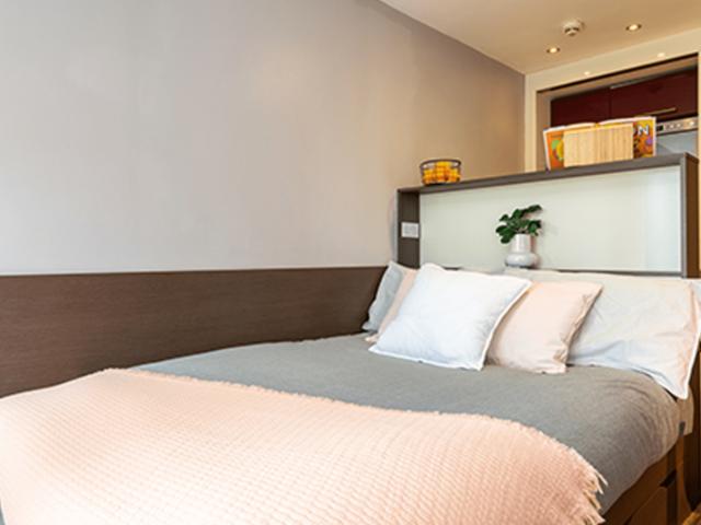 1 Bedroom Shared Living/roommate London London 97663978