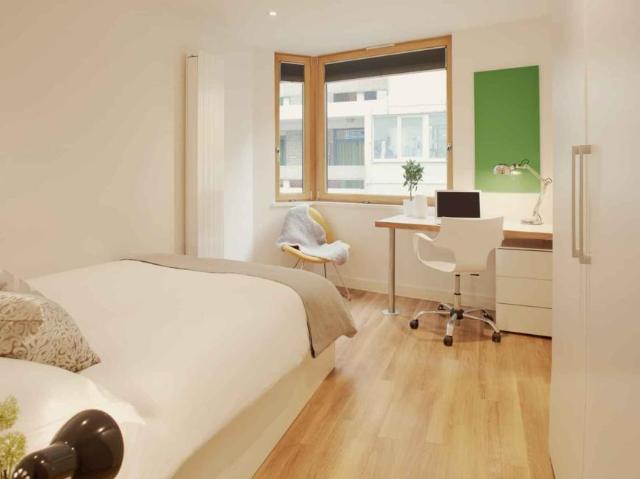 1 Bedroom Shared Living/roommate London London 97664727