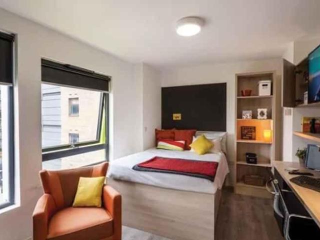 1 Bedroom Shared Living/roommate London London 97664132