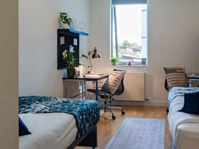 1 Bedroom Shared Living/roommate London London 97664248