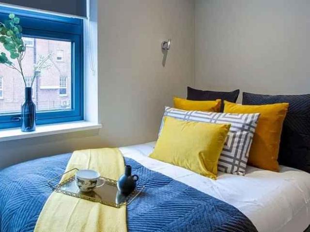 1 Bedroom Shared Living/roommate London London 97665391
