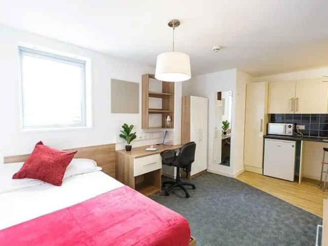 1 Bedroom Shared Living/roommate London London 97667425