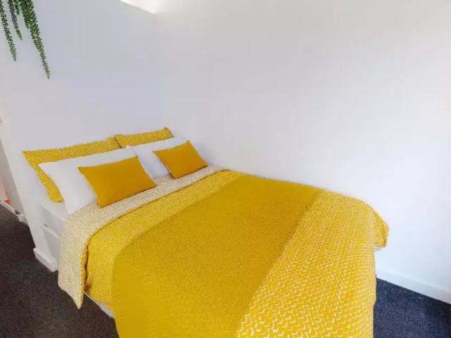 1 Bedroom Shared Living/roommate London London 97669997