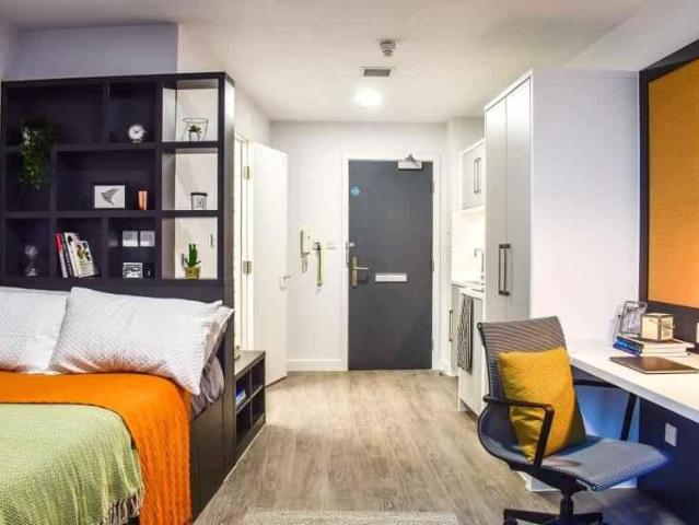 1 Bedroom Shared Living/roommate London London 97670121