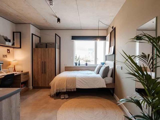 1 Bedroom Shared Living/roommate London London 97673245