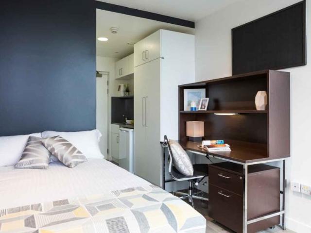 1 Bedroom Shared Living/roommate London London 97768047