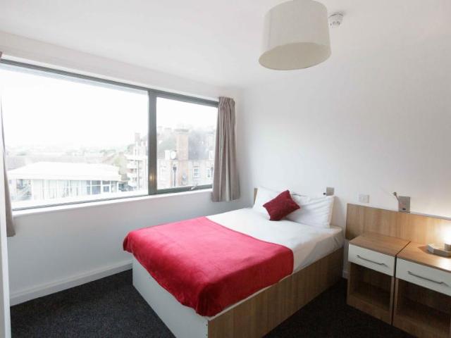 1 Bedroom Shared Living/roommate London London 97833571