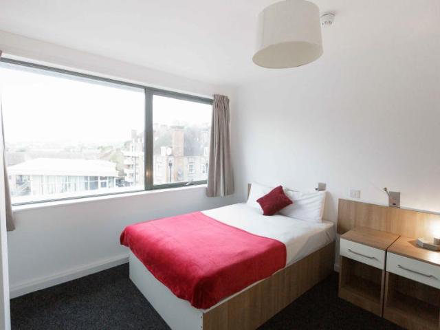 1 Bedroom Shared Living/roommate London London 97833585