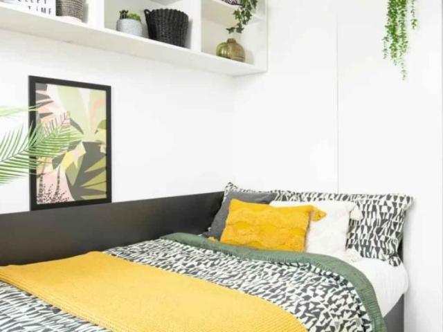 1 Bedroom Shared Living/roommate London London 99488097