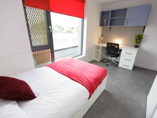 1 Bedroom Shared Living/roommate London London 99492537