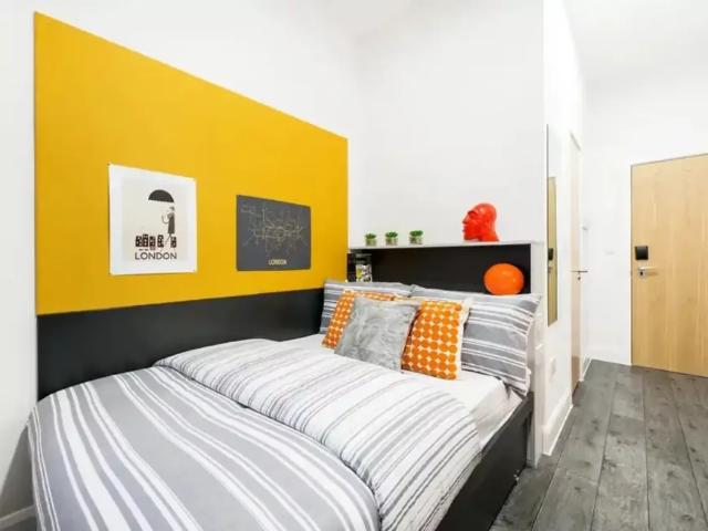 1 Bedroom Shared Living/roommate London London 99495464