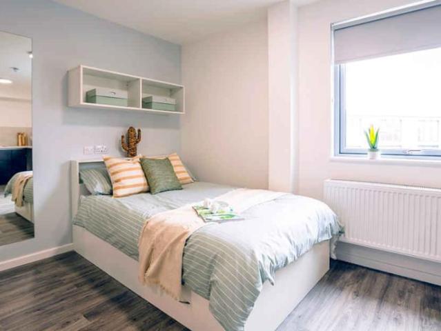 1 Bedroom Shared Living/roommate London London 99495125