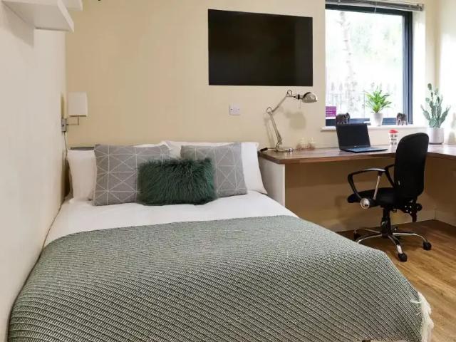 1 Bedroom Shared Living/roommate London London 99496219
