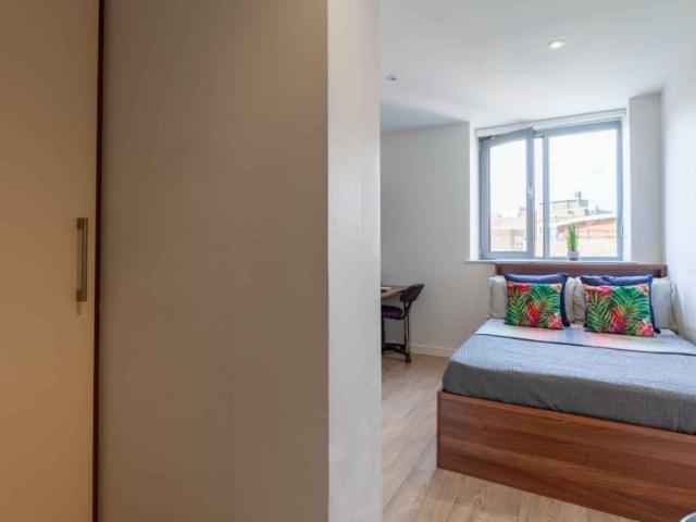 1 Bedroom Shared Living/roommate London London 99497124