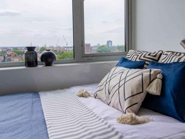 1 Bedroom Shared Living/roommate London London 99499750