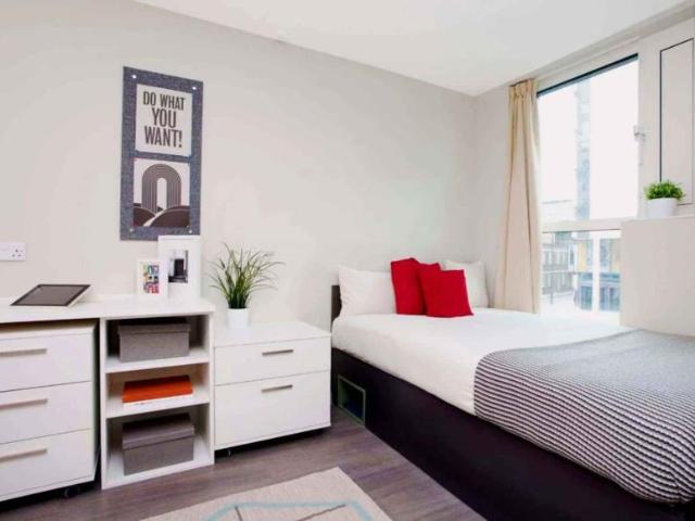 1 Bedroom Shared Living/roommate London London 99499795