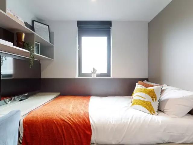 1 Bedroom Shared Living/roommate London London 99503761