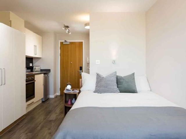1 Bedroom Shared Living/roommate London London 99503124