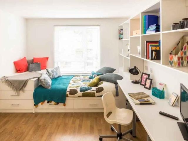 1 Bedroom Shared Living/roommate Plymouth Plymouth 99492945