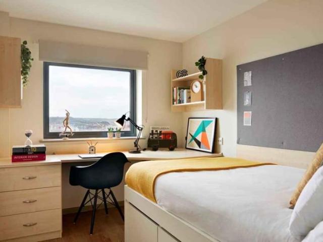1 Bedroom Shared Living/roommate Plymouth Plymouth 90547457