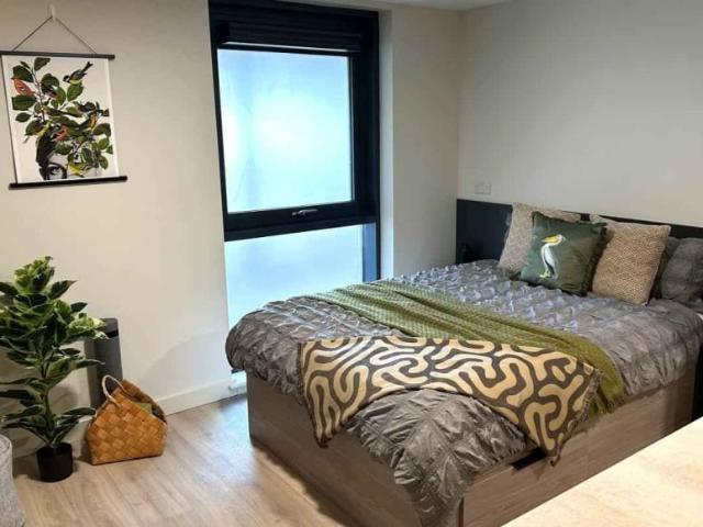 1 Bedroom Shared Living/roommate Portsmouth Portsmouth LS97770269