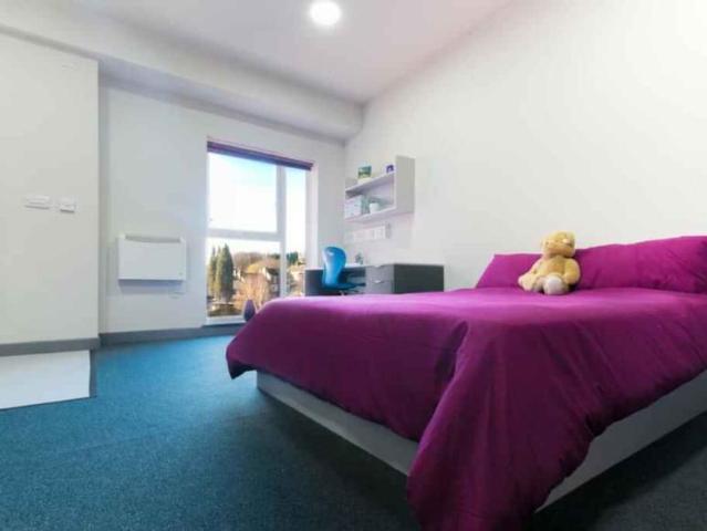 1 Bedroom Shared Living/roommate Stoke on Trent Stoke on Trent 97673711