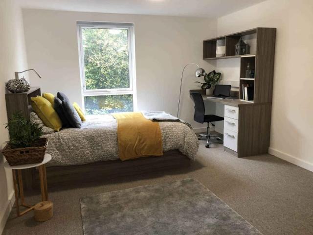 1 Bedroom Shared Living/roommate Stoke Stoke 99502024