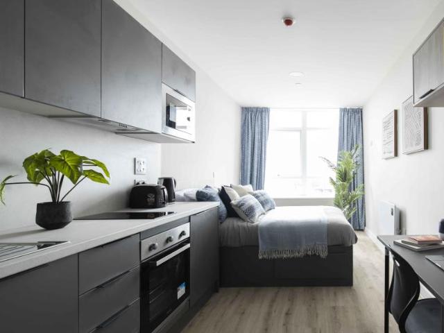 1 Bedroom Shared Living/roommate Swansea Swansea 97831822