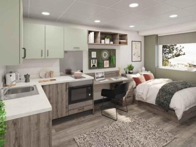 1 Bedroom Shared Living/roommate Swansea Swansea LS97665815