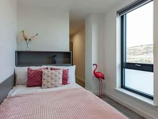 1 Bedroom Shared Living/roommate Swansea Swansea LS97767301